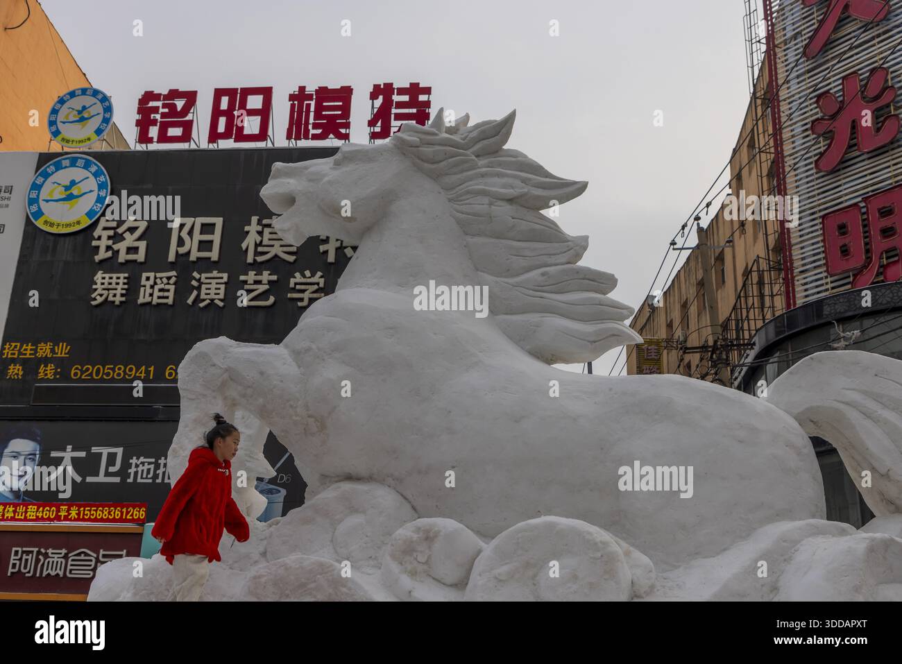 Zodiac ice sculptures attract visitors in Henan Street, Jilin City ...