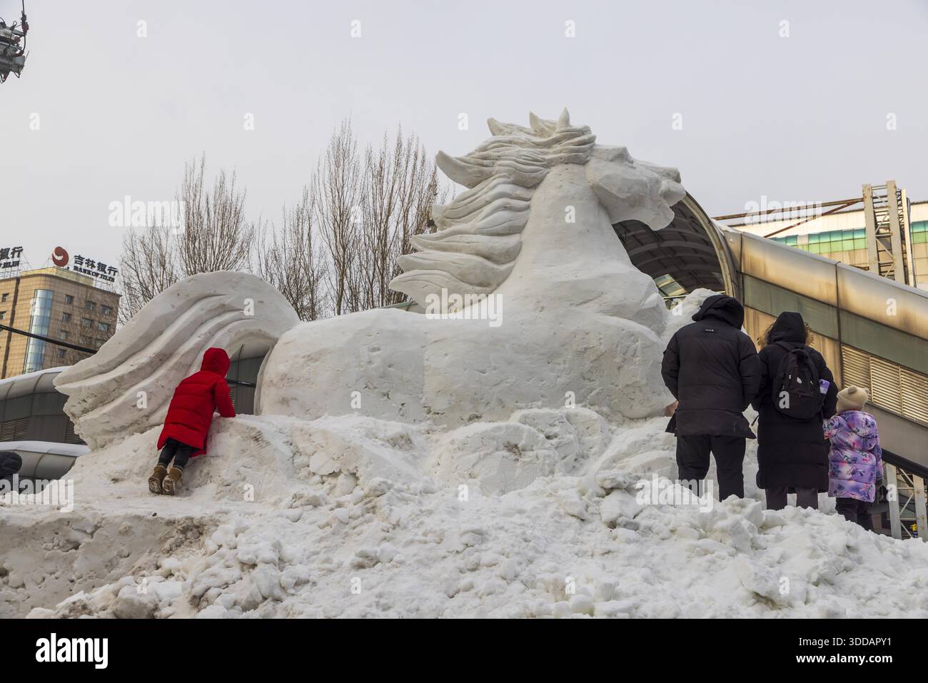 Zodiac ice sculptures attract visitors in Henan Street, Jilin City ...
