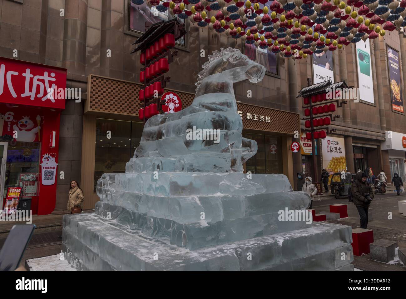 Zodiac ice sculptures attract visitors in Henan Street, Jilin City ...