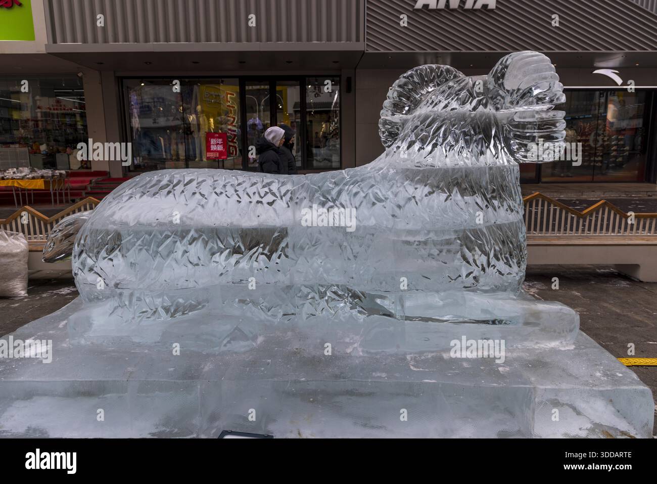 Zodiac ice sculptures attract visitors in Henan Street, Jilin City ...