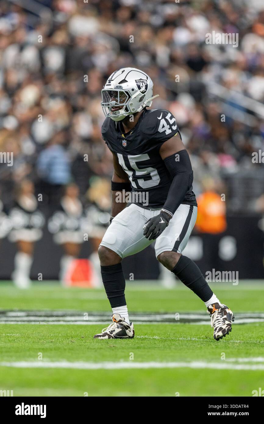 Las Vegas Raiders linebacker Devin White (45) against the New York ...
