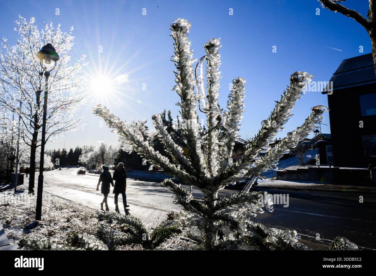 30 December 2025, Lower Saxony, Torfhaus: A thick layer of ice covers a ...