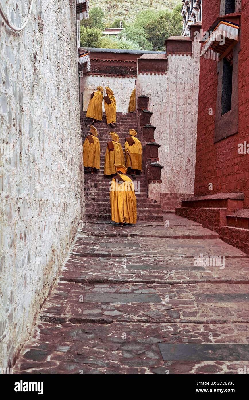 Buddhist monks in yellow robes descend ancient stone steps and cross a ...