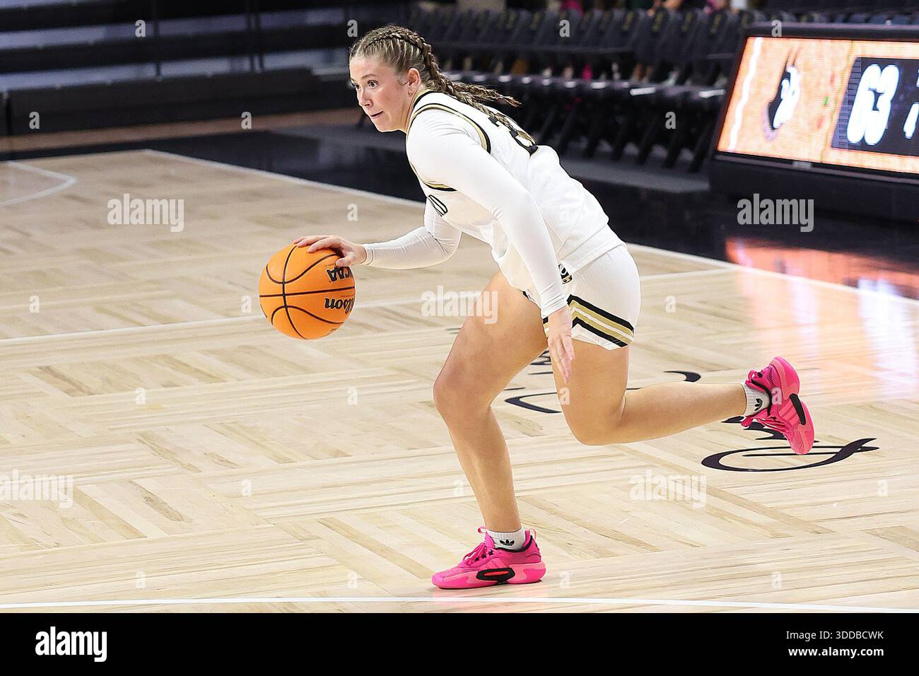 SPARTANBURG, SC - DECEMBER 19: Wofford Terriers guard Madi Hawk (20 ...