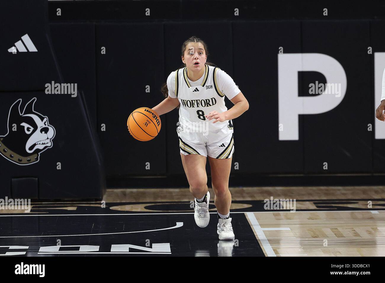 SPARTANBURG, SC - DECEMBER 19: Wofford Terriers guard Gabby Mundy (8 ...
