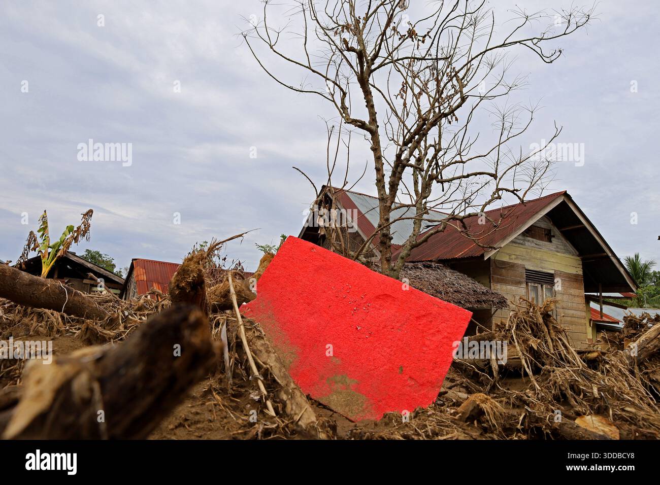 December 30, 2025, Pidie Jaya, Aceh, Indonesia: Piles of logs cover a ...