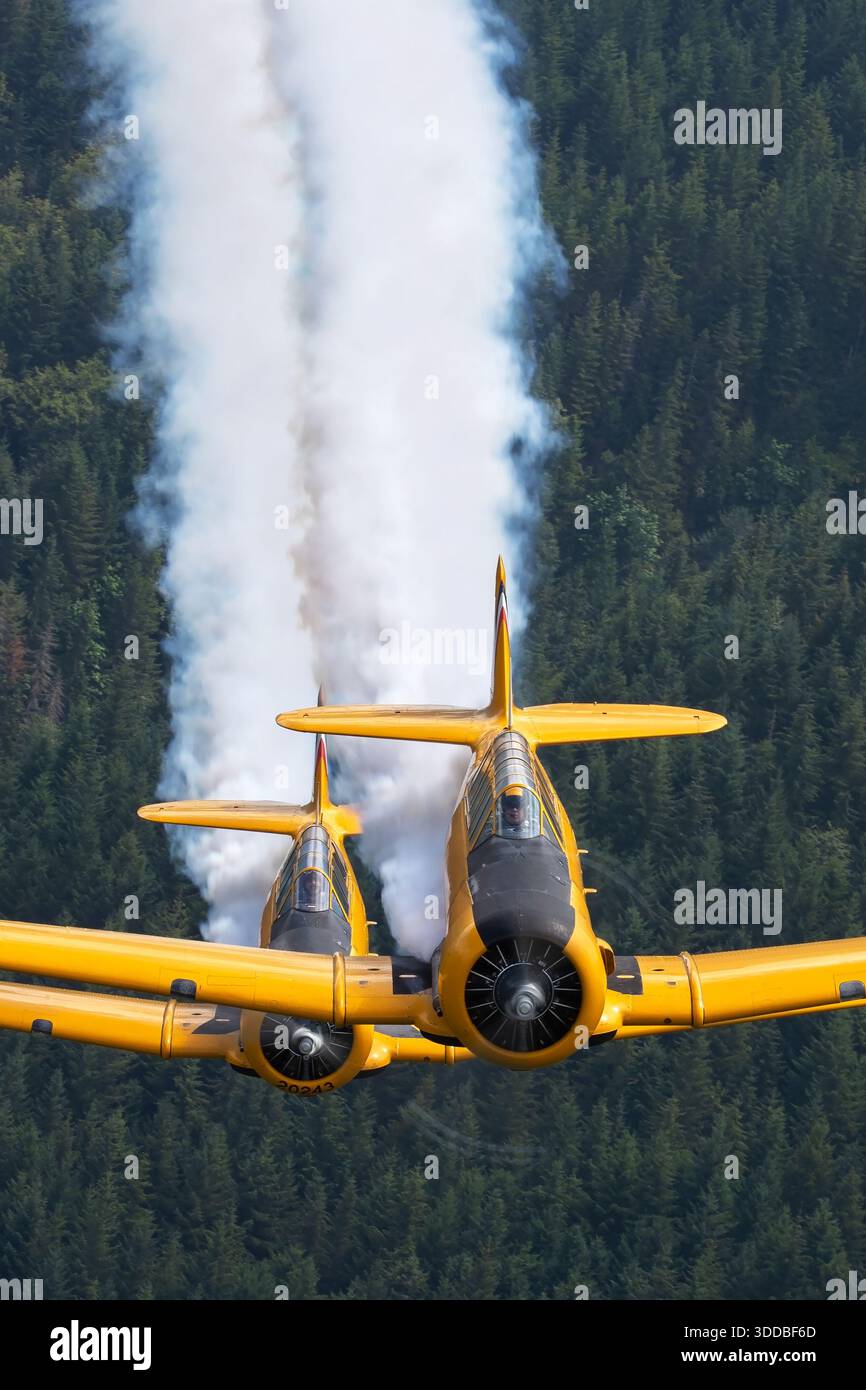 Two historic North American Harvard aircraft are shown flying in close ...