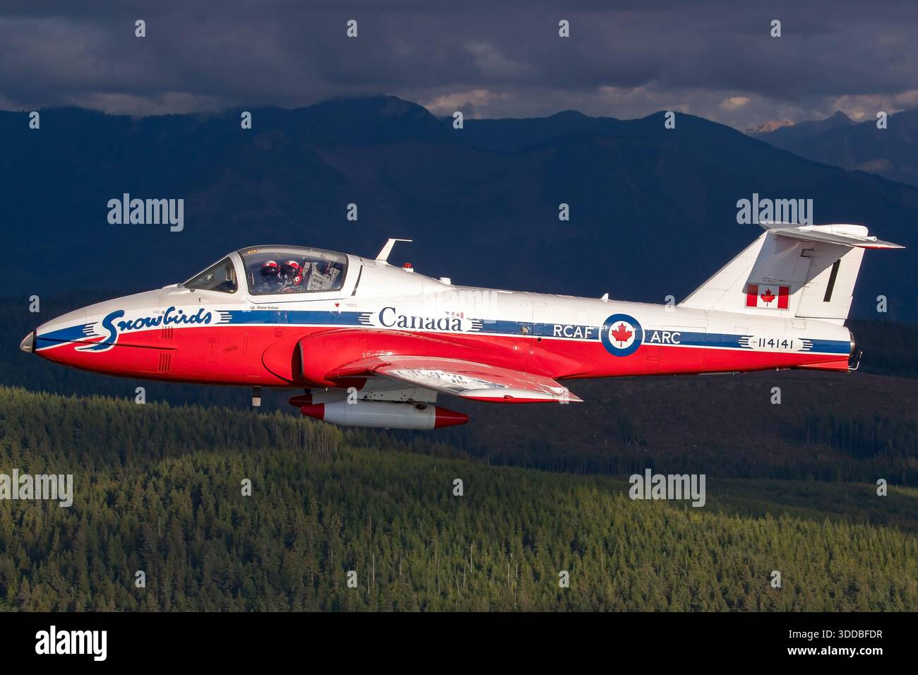 A Canadair CT-114 Tutor jet from the Royal Canadian Air Force Snowbirds ...