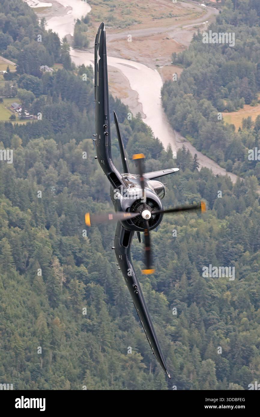 Air-to-air image of a Vought F4U-7 Corsair banking during an aerobatic ...
