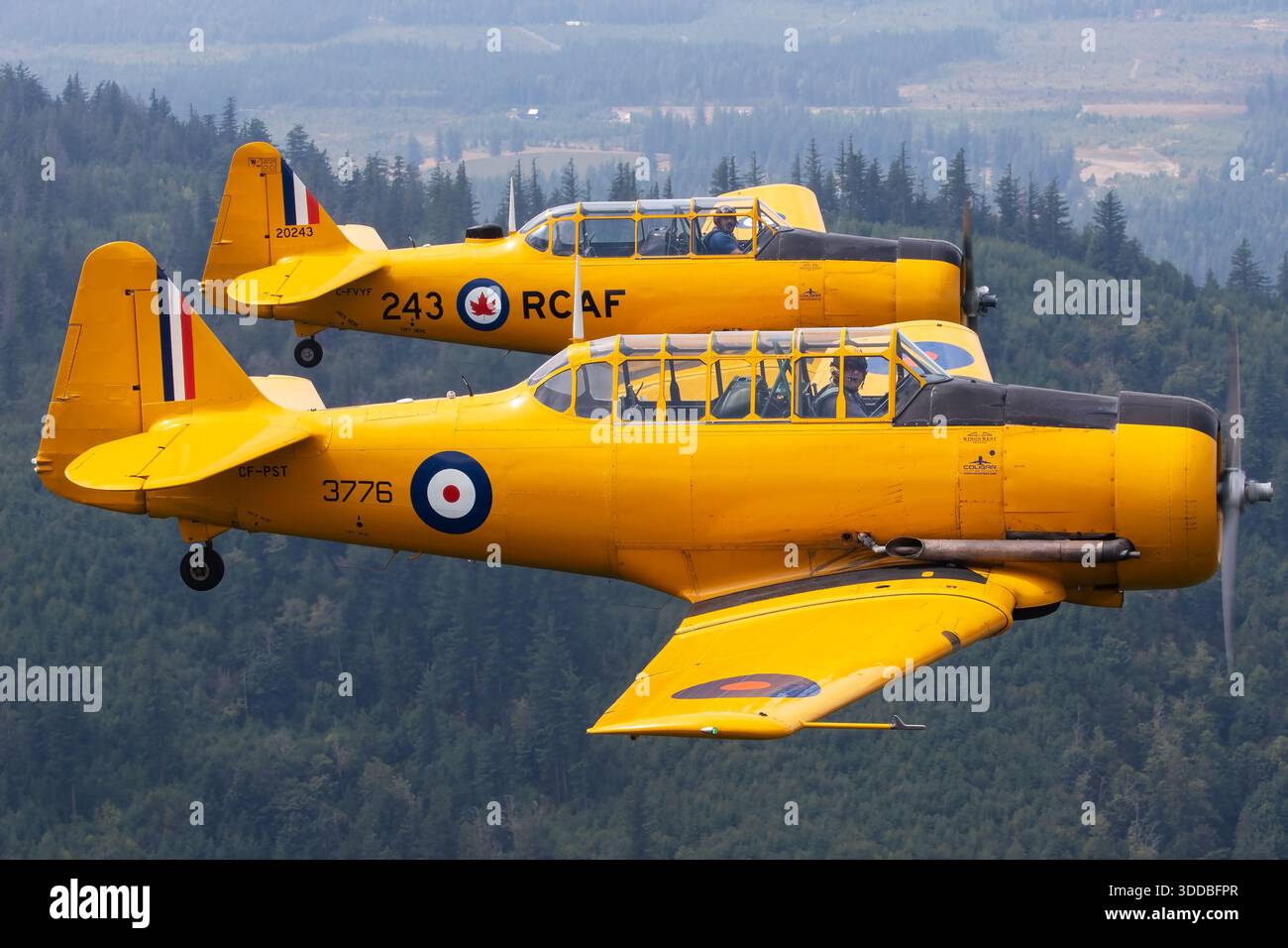 A matched pair of North American Harvard training aircraft fly together ...