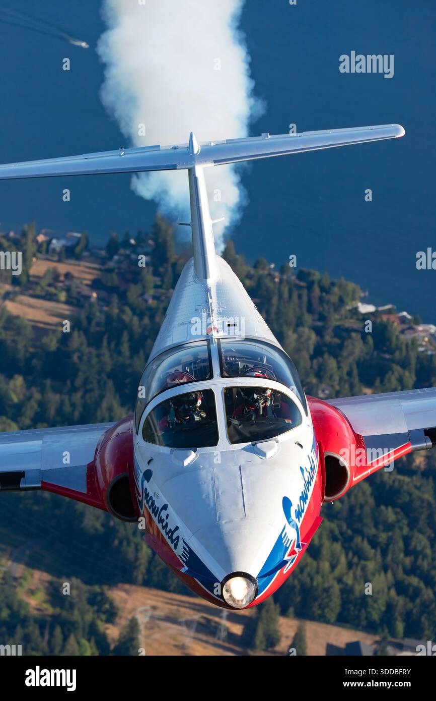 An air-to-air photograph of the Snowbirds, the Royal Canadian Air Force ...