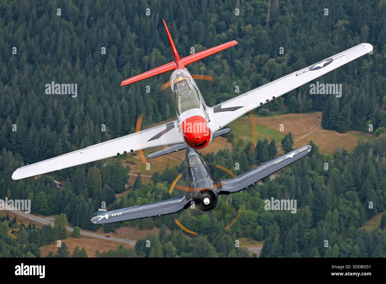 The image shows a North American P-51D Mustang, registration NL551D ...