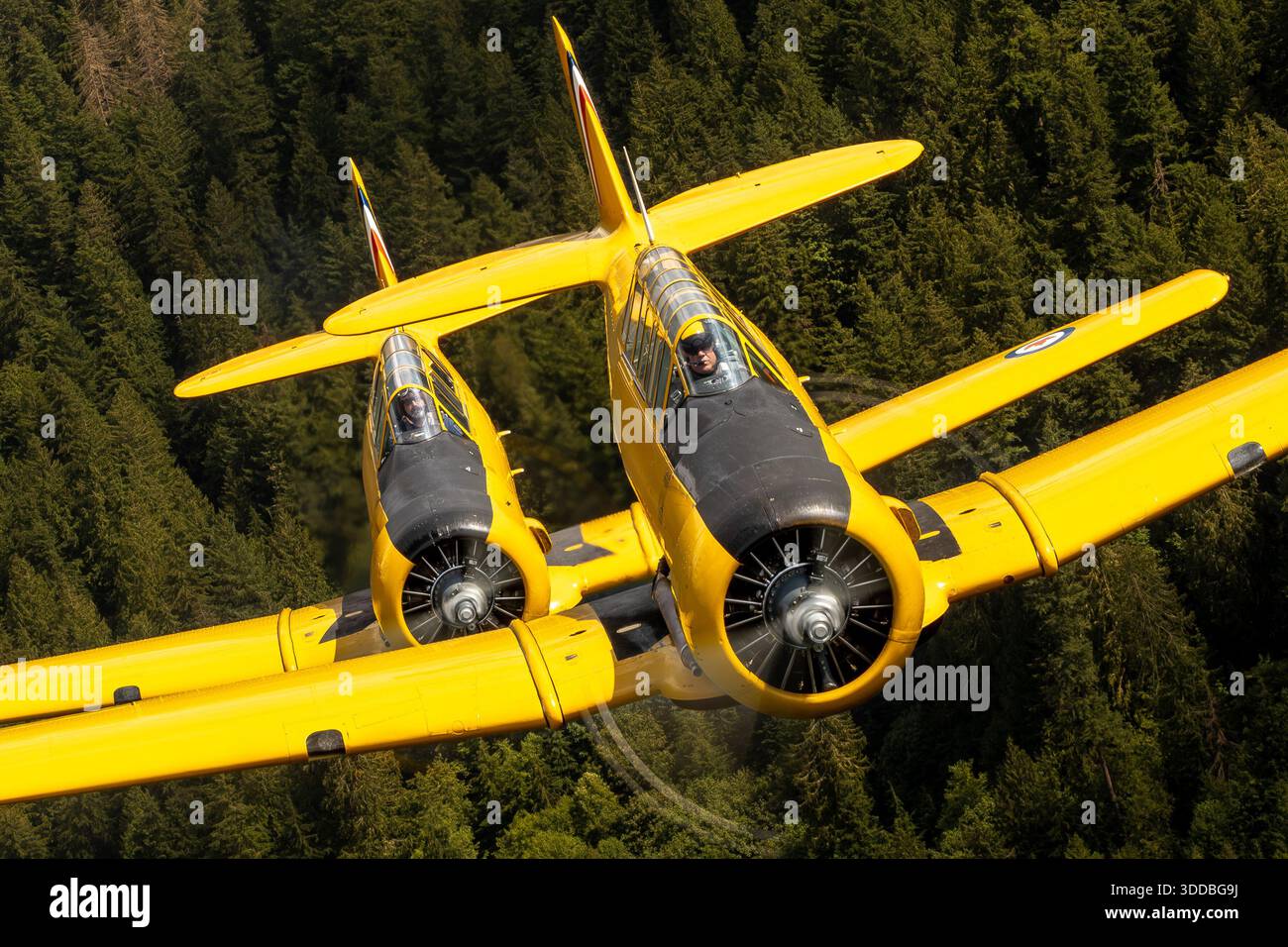 The North American BC-1, T-6J Harvard Mk IV, and AT-16 Harvard II ...