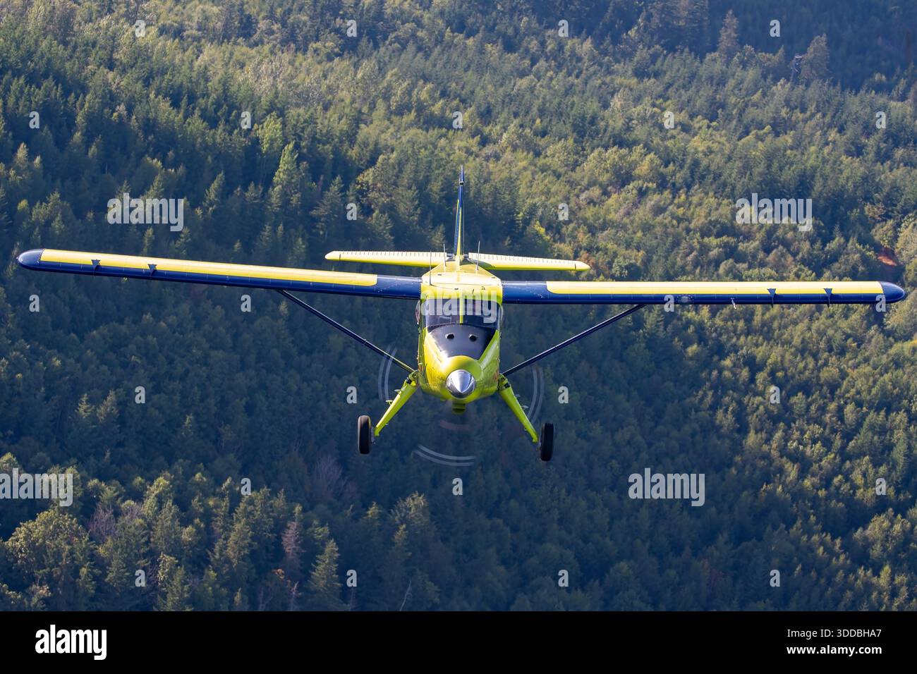 The De Havilland Canada DHC-2 eBeaver, registered as C-FJOS, flies air ...