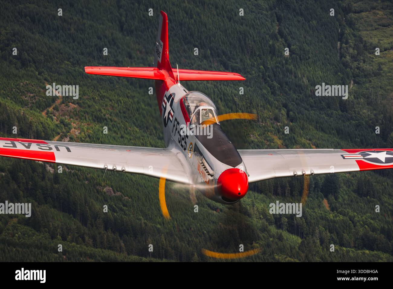 The North American P-51D Mustang, registered N151AF with serial 45 ...