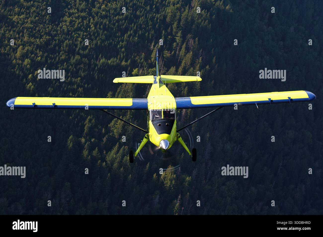 Air to air view of a De Havilland Canada DHC-2 eBeaver flying at the ...