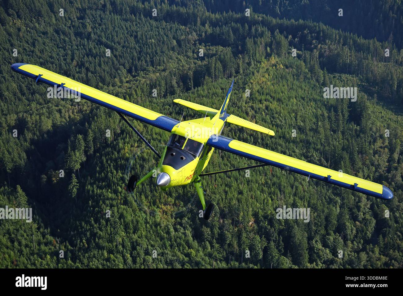 Air to air view of a De Havilland Canada DHC-2 eBeaver flying at the ...