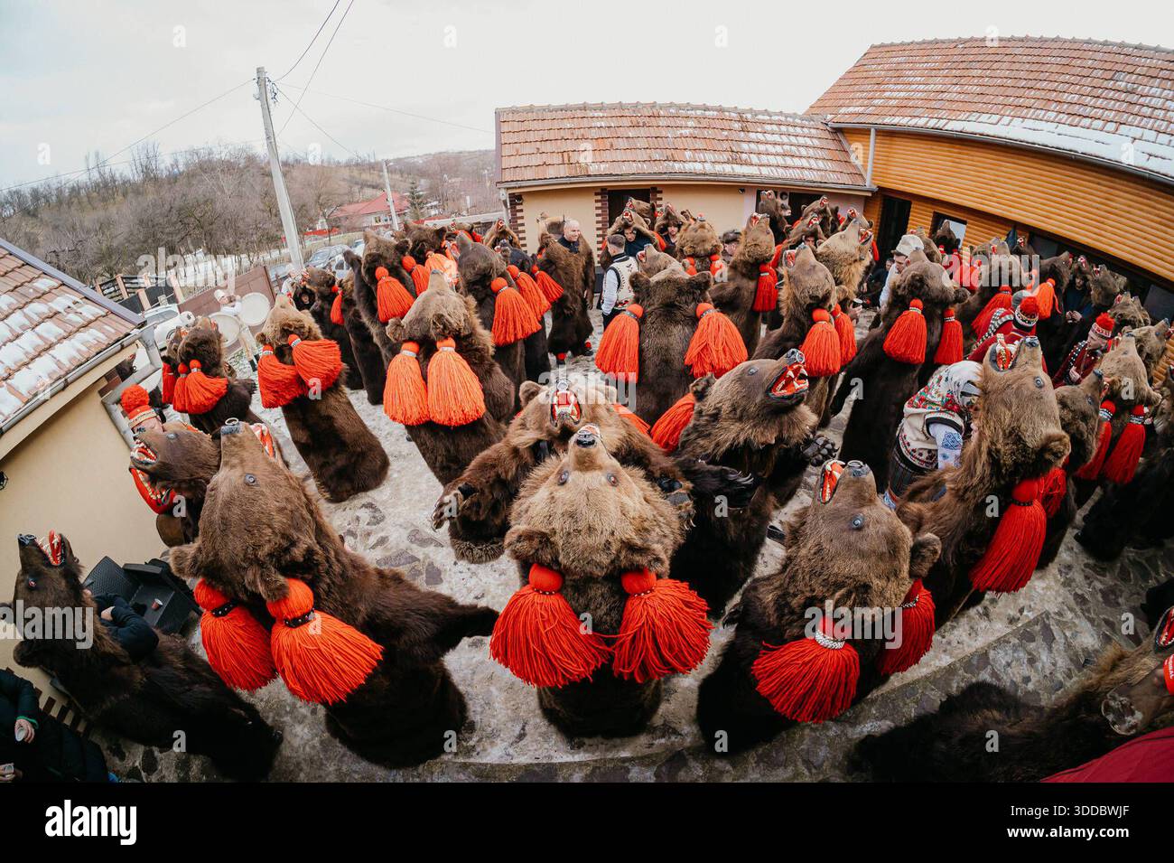 Bear Dance Tradition in Comanesti, Bacau, Romania Comanesti, Bacau ...