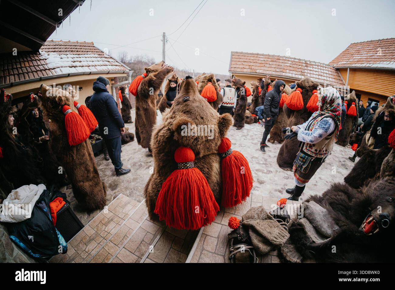 Bear Dance Tradition in Comanesti, Bacau, Romania Comanesti, Bacau ...