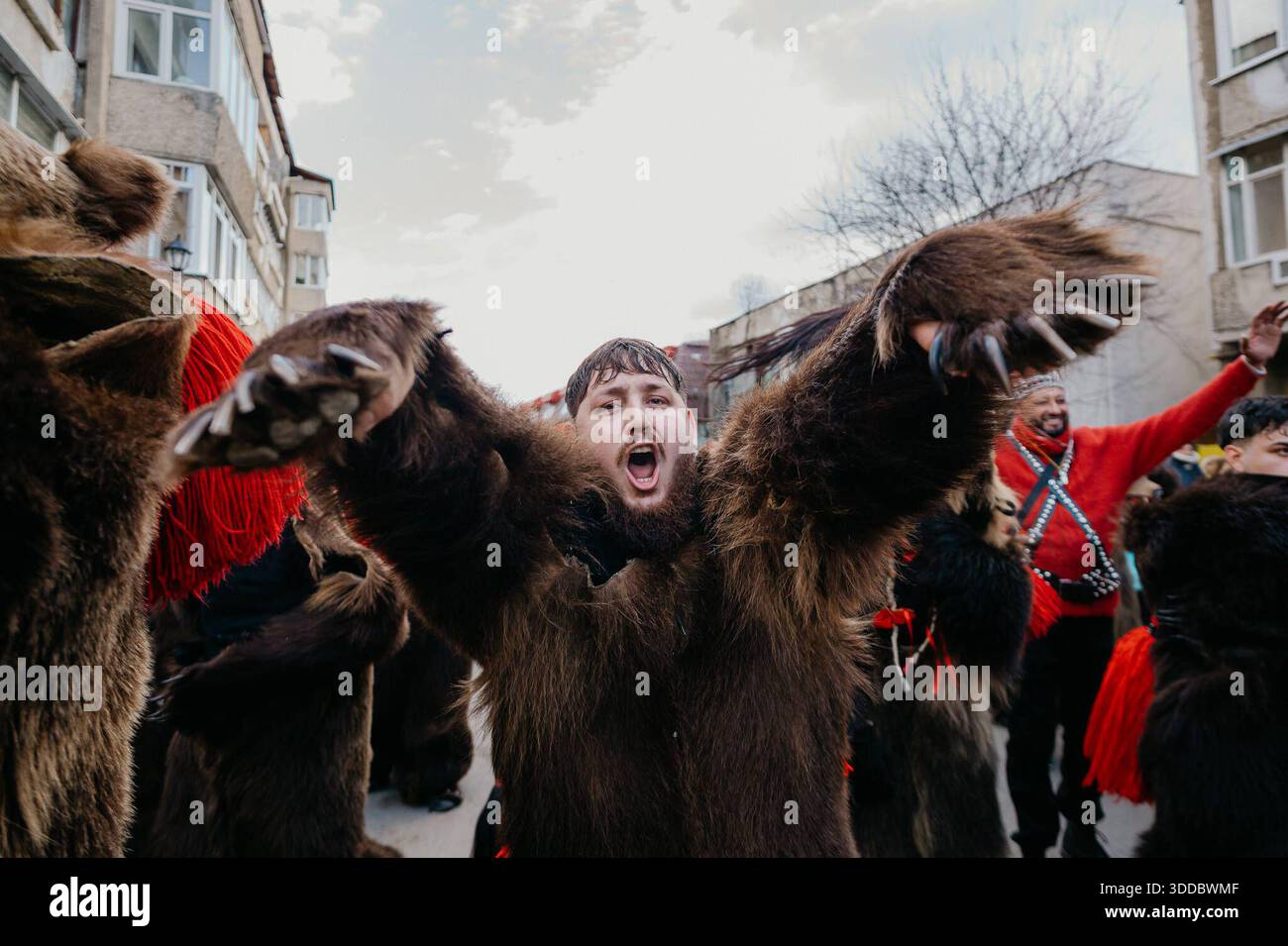 Bear Dance Tradition in Comanesti, Bacau, Romania Comanesti, Bacau ...