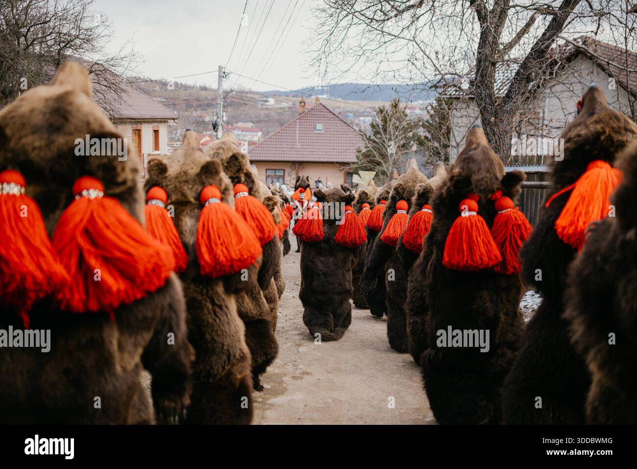 Bear Dance Tradition in Comanesti, Bacau, Romania Comanesti, Bacau ...