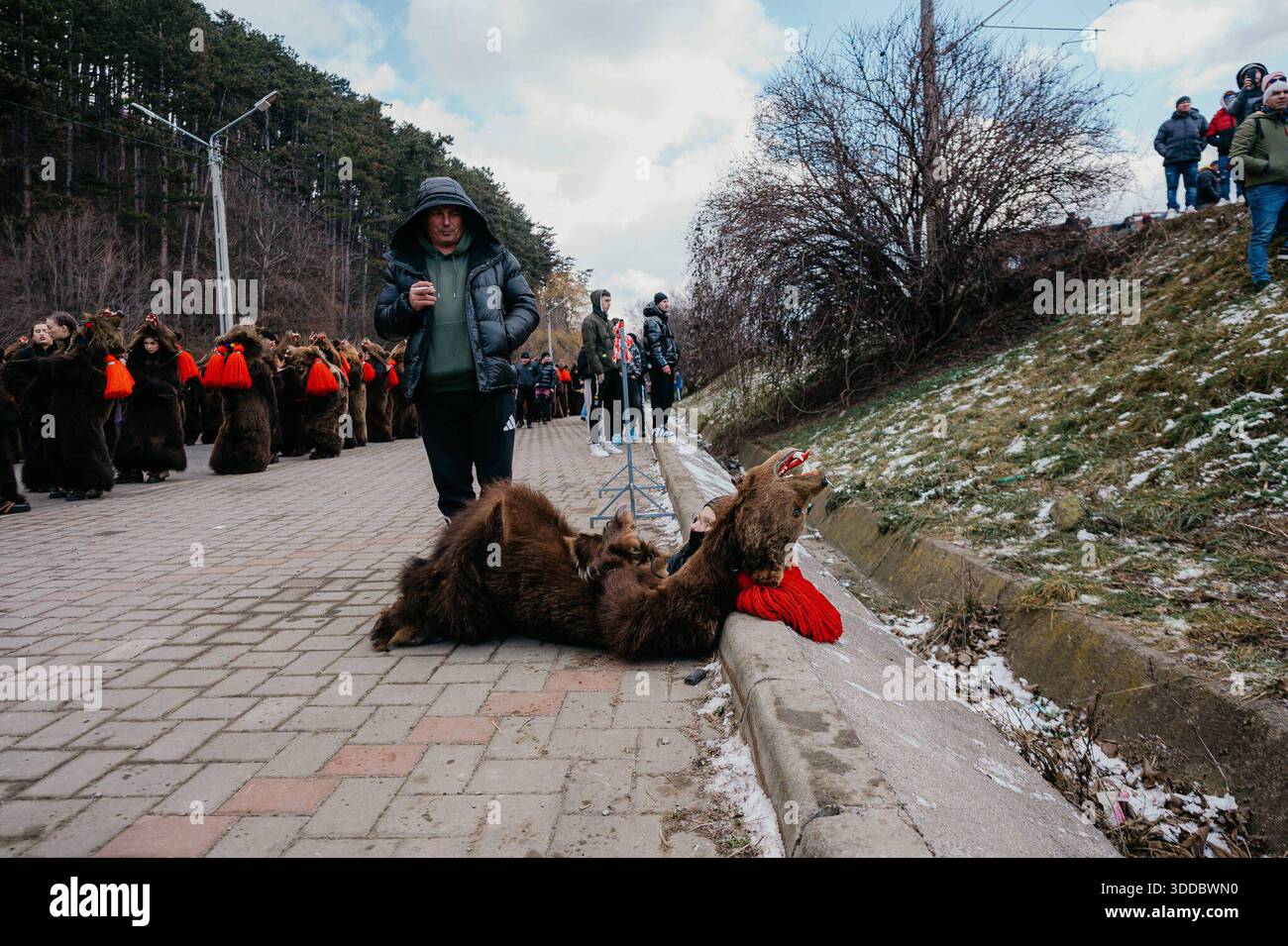 Bear Dance Tradition in Comanesti, Bacau, Romania Comanesti, Bacau ...