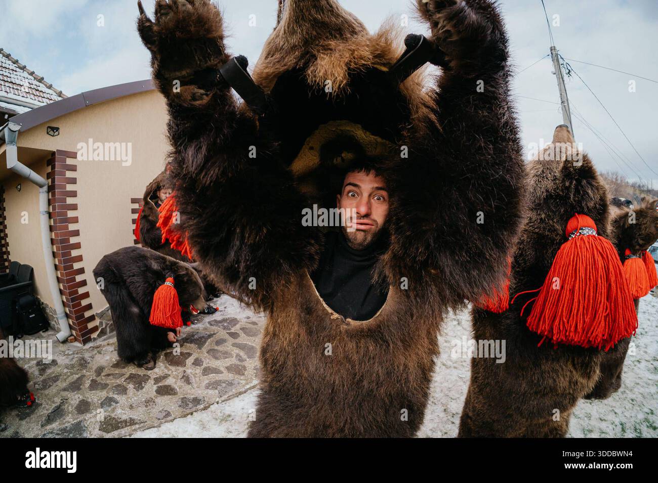 Bear Dance Tradition in Comanesti, Bacau, Romania Comanesti, Bacau ...
