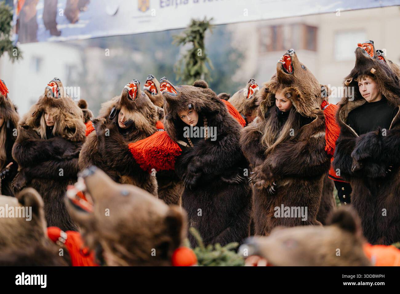 Bear Dance Tradition in Comanesti, Bacau, Romania Comanesti, Bacau ...