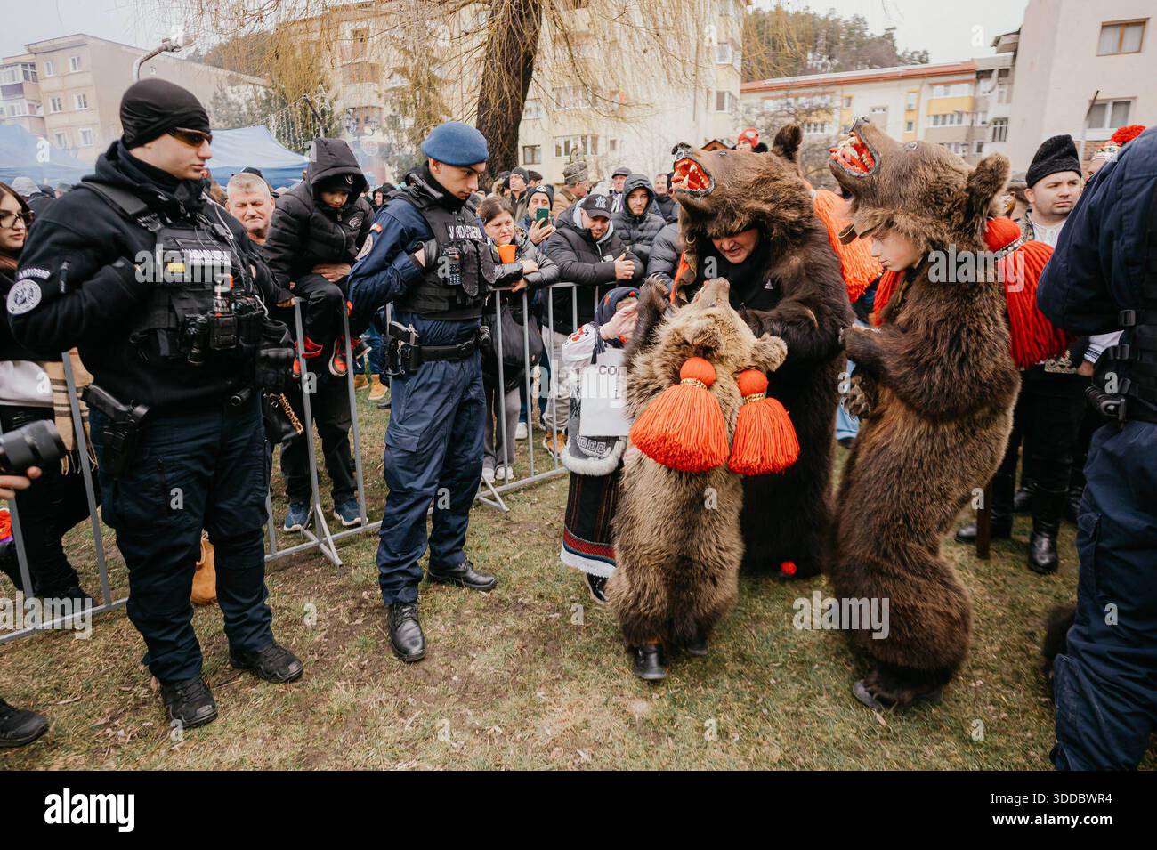 Bear Dance Tradition in Comanesti, Bacau, Romania Comanesti, Bacau ...