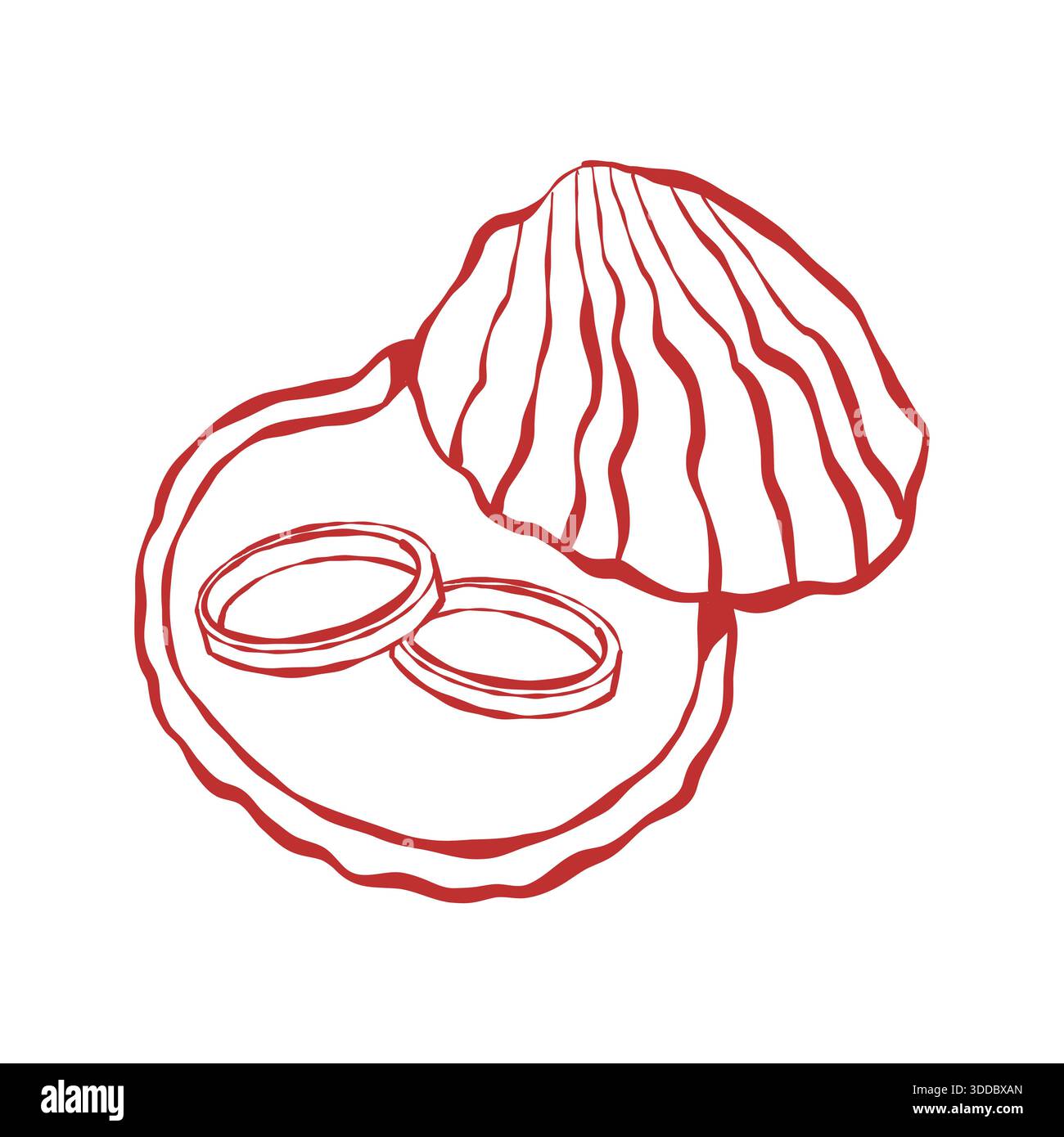 Wedding rings in a pearl shell doodle, whimsical wedding rings. Vector ...