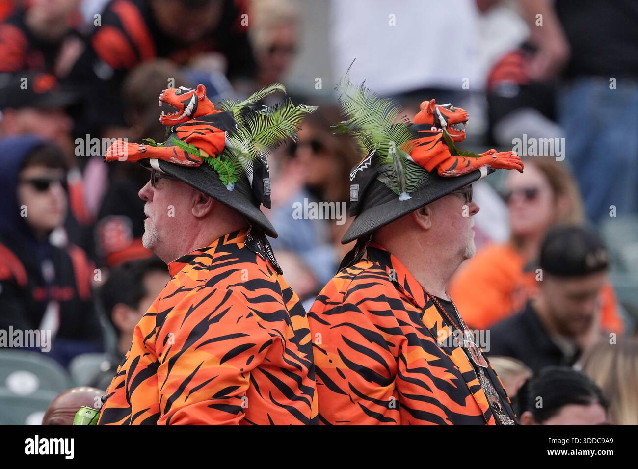 Cincinnati Bengals fans stand for a better view during an NFL football ...