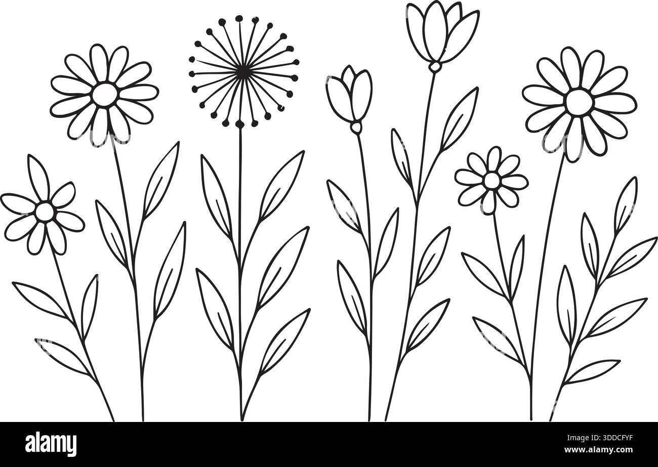 Fine art illustration Cut Out Stock Images & Pictures - Alamy