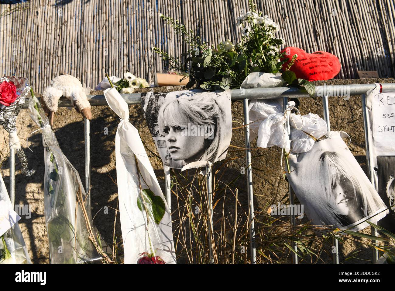 Supporters of Brigitte Bardot lay flowers, objects representing animals ...