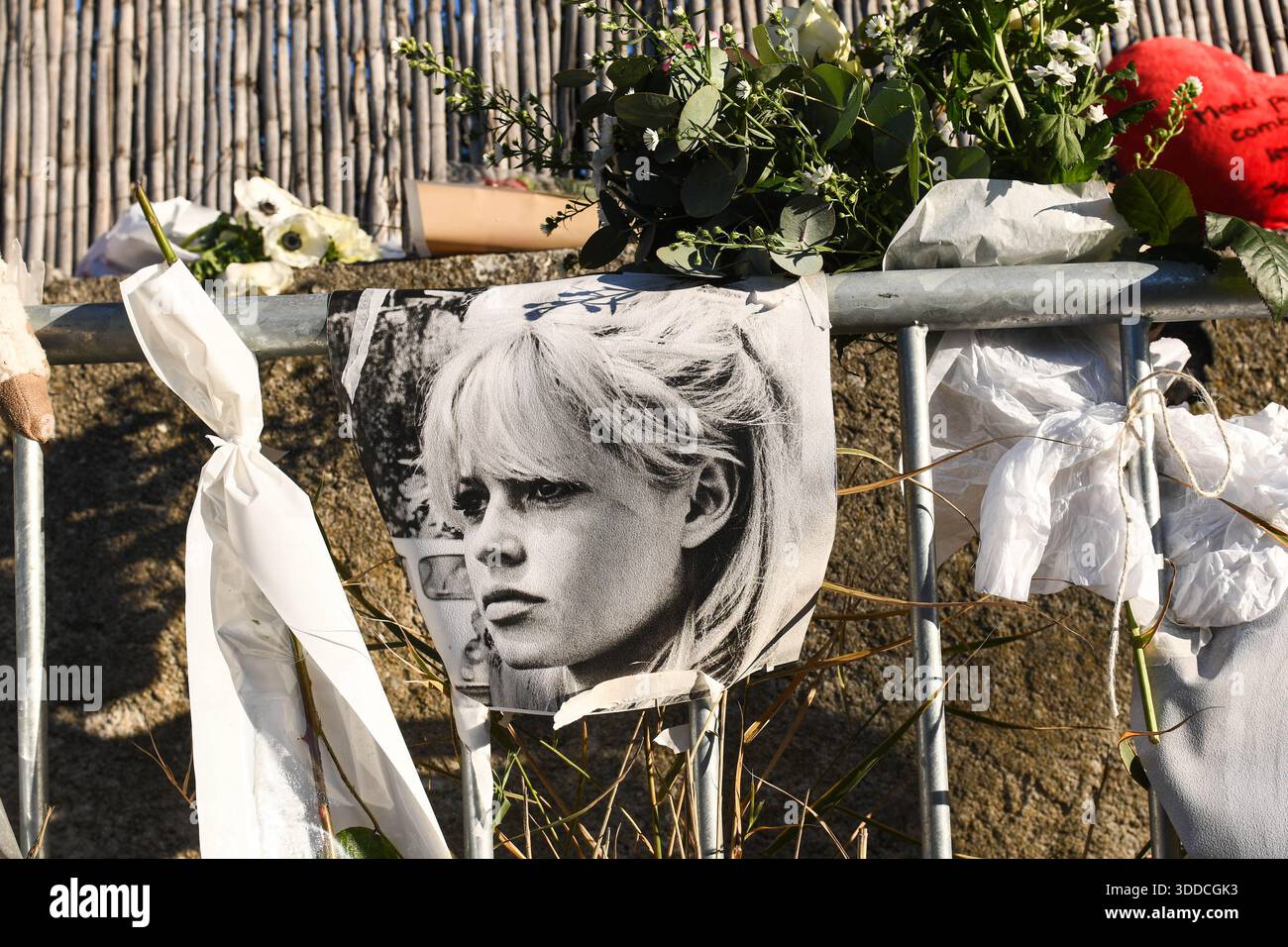 Supporters of Brigitte Bardot lay flowers, objects representing animals ...
