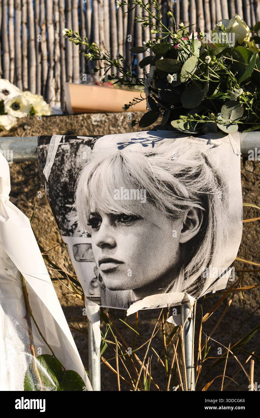 Supporters of Brigitte Bardot lay flowers, objects representing animals ...