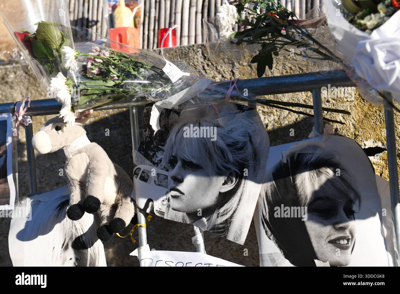 Supporters of Brigitte Bardot lay flowers, objects representing animals ...