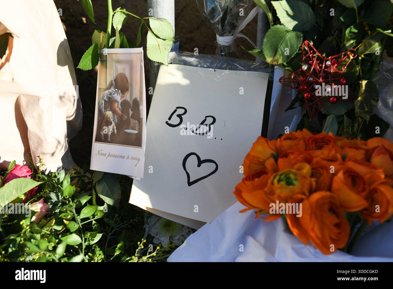 Supporters of Brigitte Bardot lay flowers, objects representing animals ...