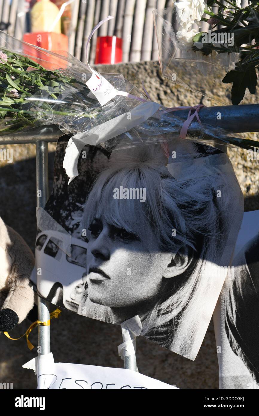 Supporters of Brigitte Bardot lay flowers, objects representing animals ...