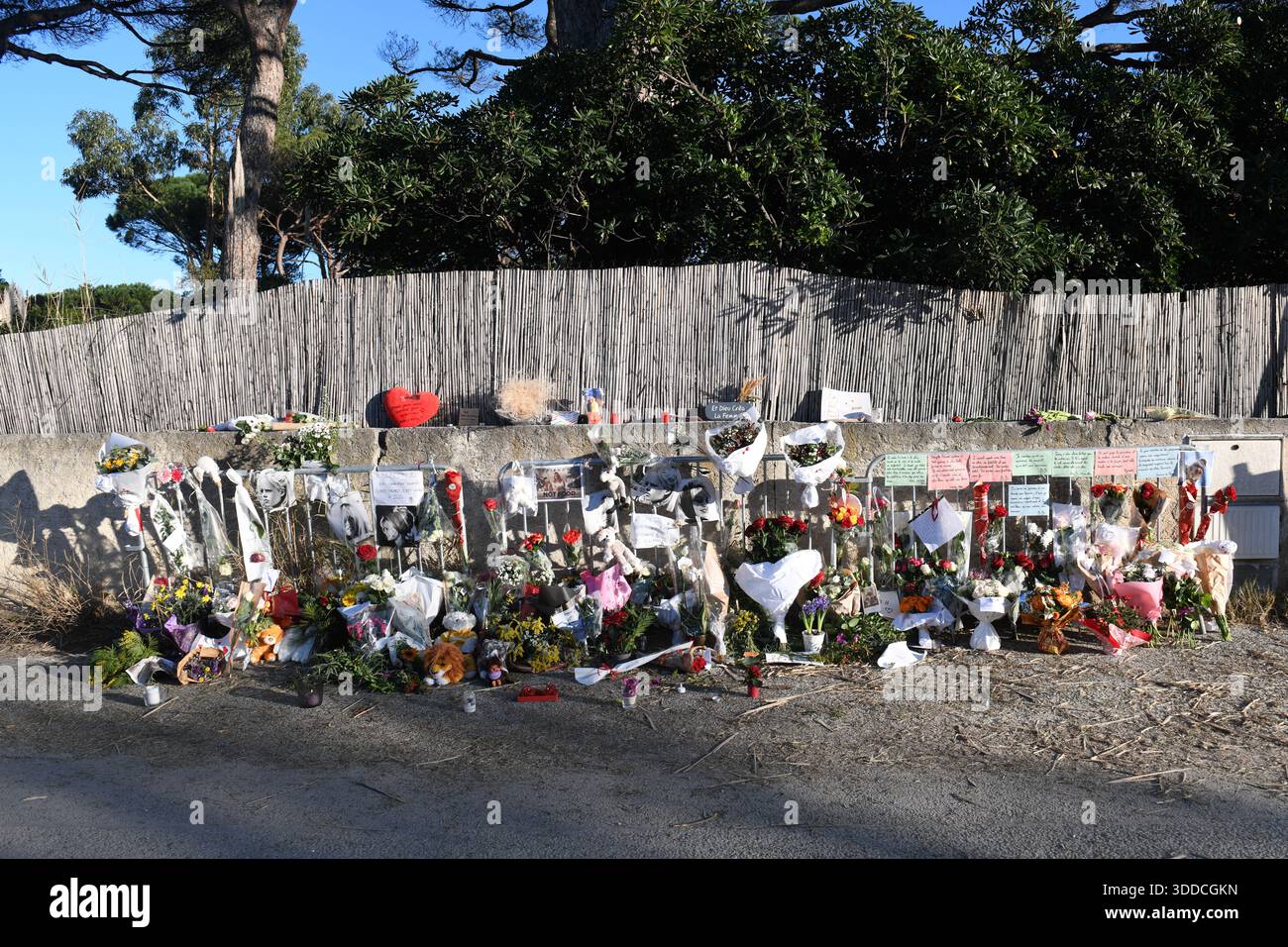 Supporters of Brigitte Bardot lay flowers, objects representing animals ...