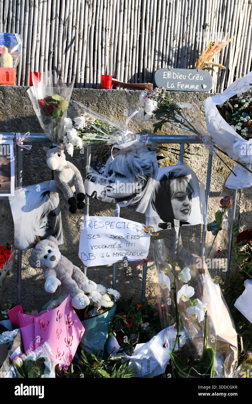 Supporters of Brigitte Bardot lay flowers, objects representing animals ...