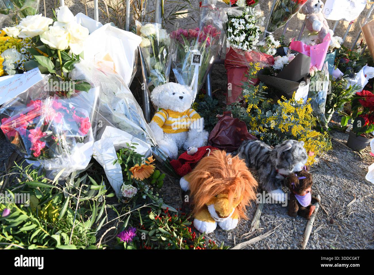 Supporters of Brigitte Bardot lay flowers, objects representing animals ...