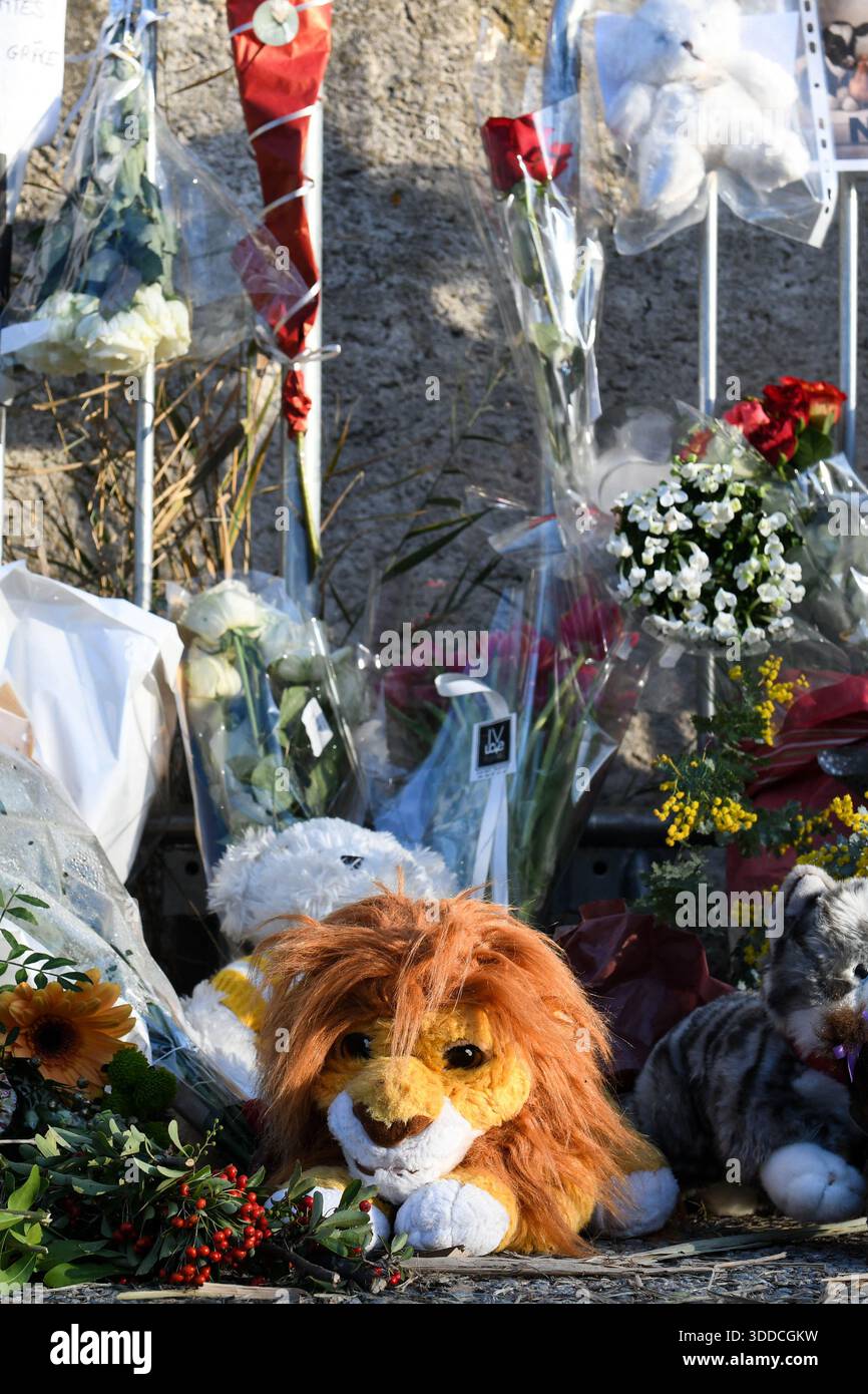 Supporters of Brigitte Bardot lay flowers, objects representing animals ...