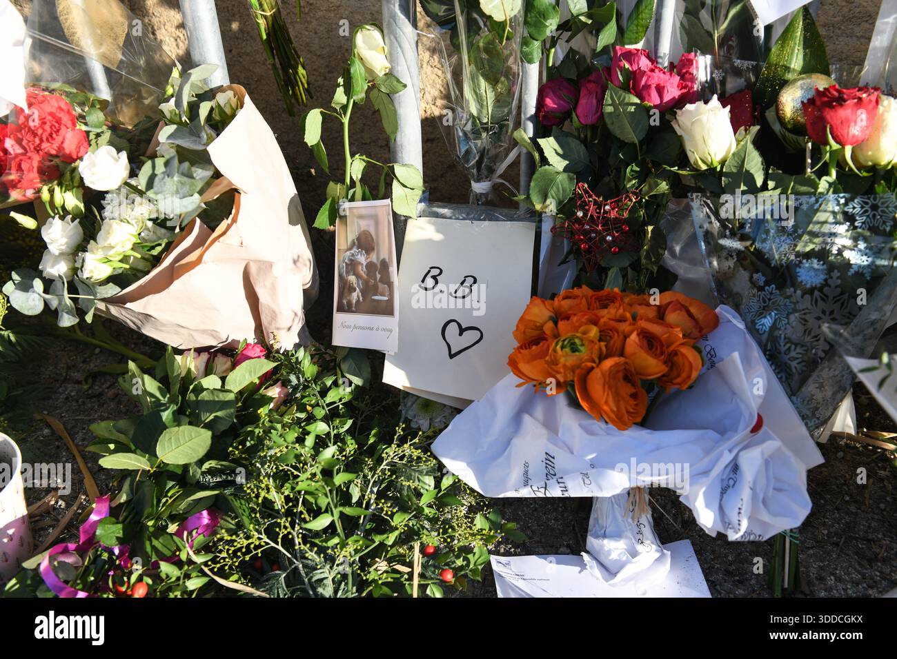 Supporters of Brigitte Bardot lay flowers, objects representing animals ...