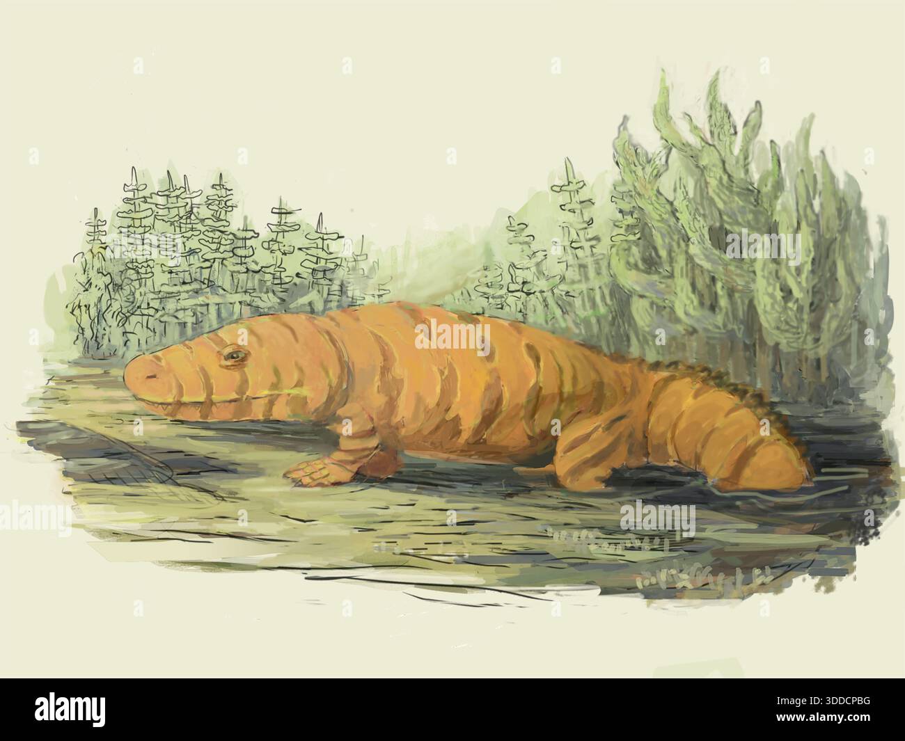 Ichthyostega hi-res stock photography and images - Alamy
