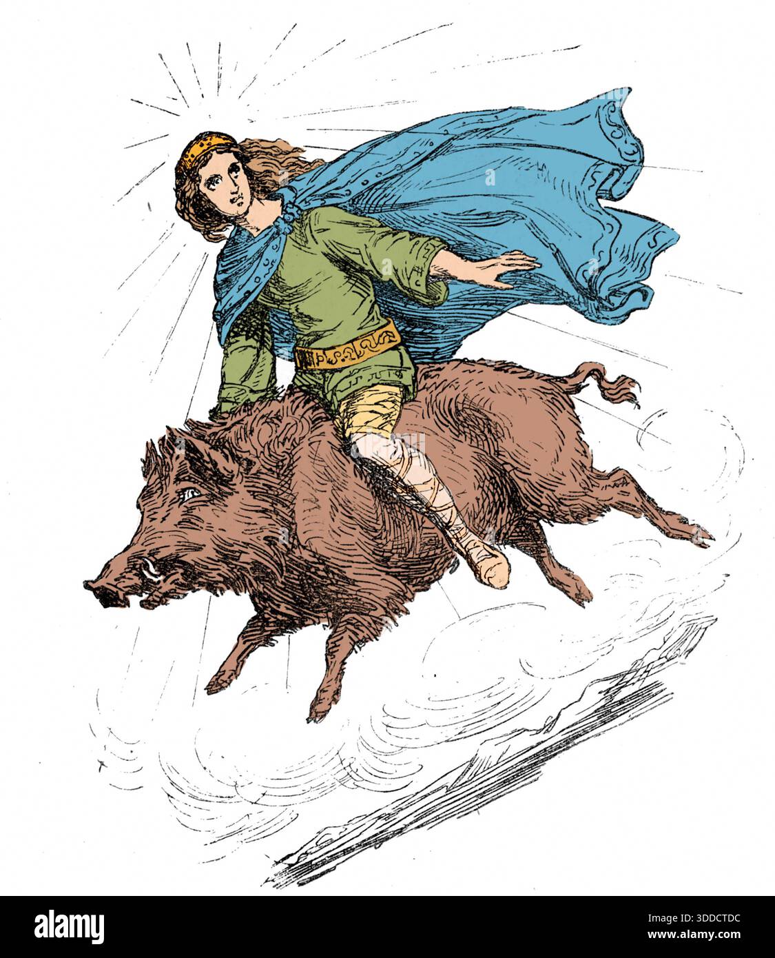 Norse God Freyr riding the boar Gullinbursti. Colorized Stock Photo - Alamy