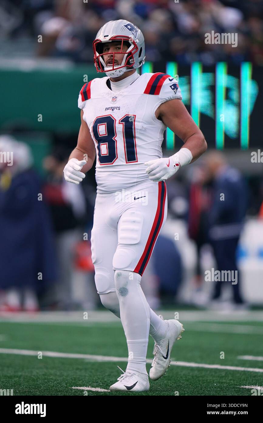 New England Patriots tight end Austin Hooper (81) during an NFL ...