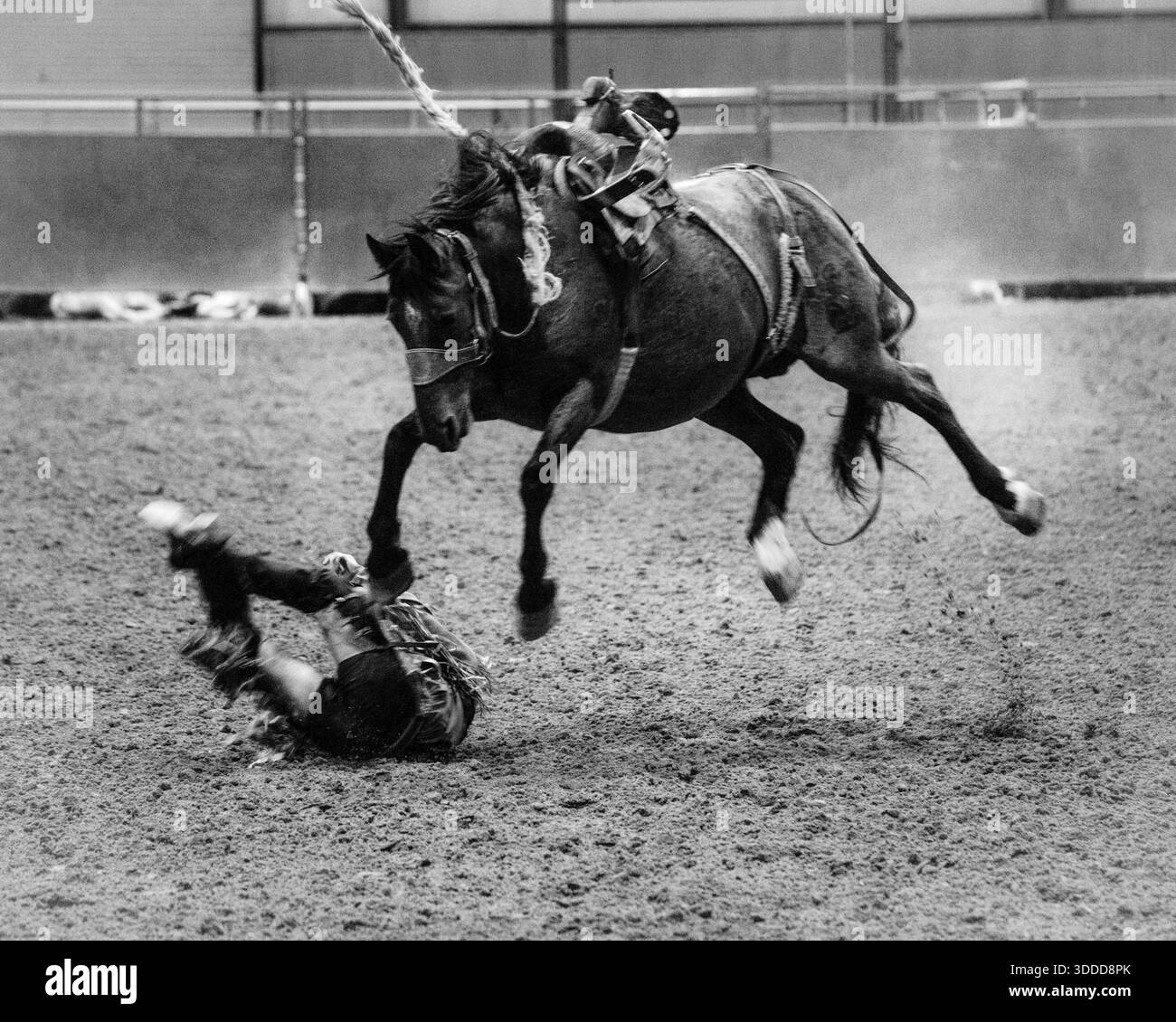 Cadillac rodeo company hi-res stock photography and images - Alamy