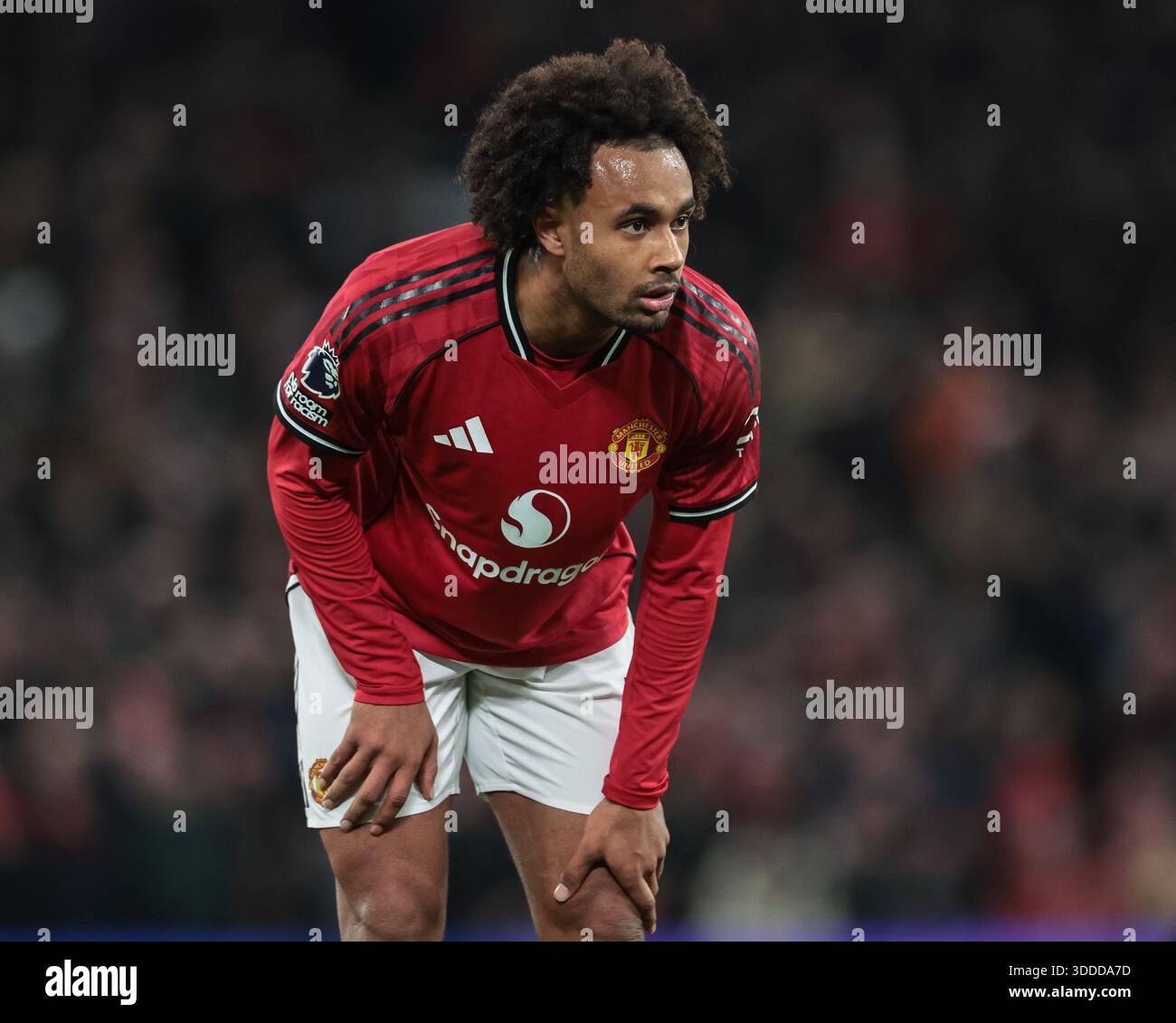 Joshua Zirkzee of Manchester United during the Premier League match ...