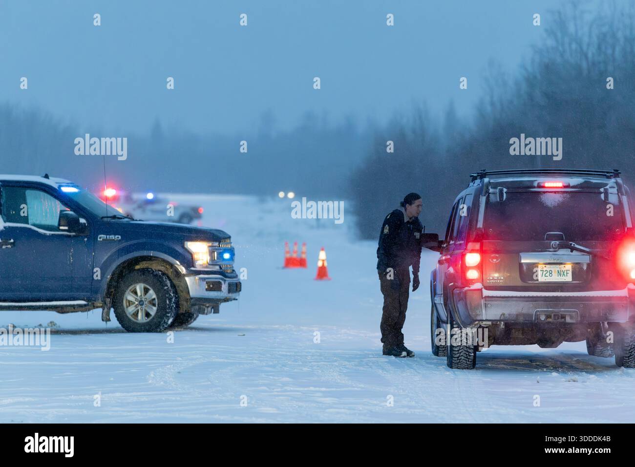 A Saskatchewan Conservation Officer conducts a road blockade at Big ...