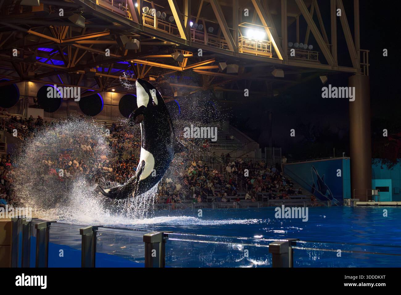 Orlando florida usa december 2025 hi-res stock photography and images ...